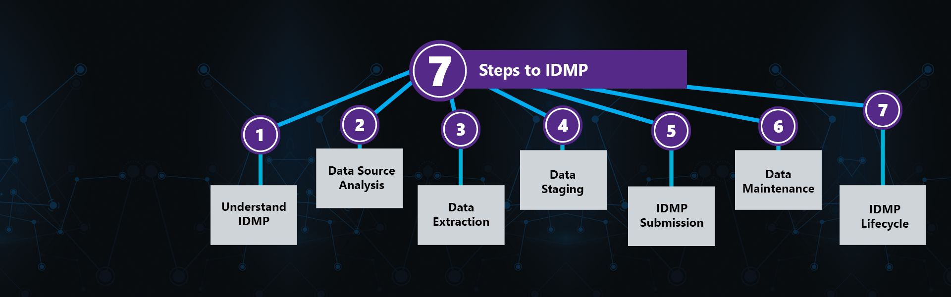 Webinar OnDemand Leveraging Automation for IDMP Readiness